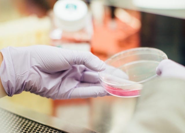 What To Eat In The Future: Introducing The Future Meals, Part II | by ...