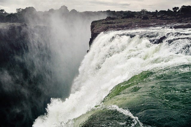 Fossils+ & Pangaea. By now everyone has been taught about… | by D David ...