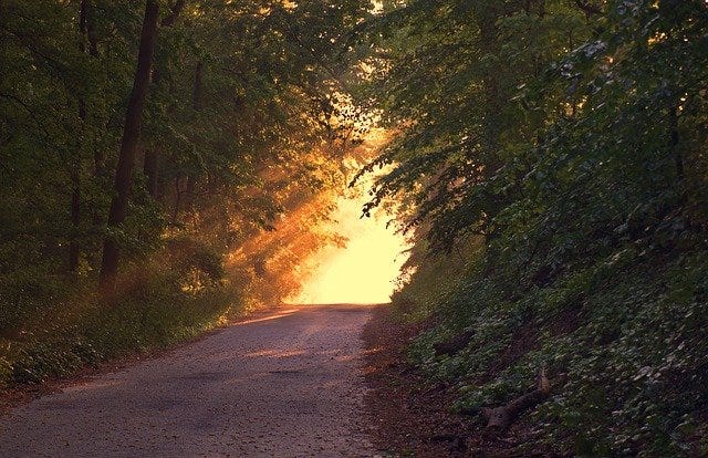 Staying on the Path of Trauma Recovery | Medium