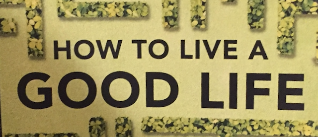 Book review: How to Live a Good Life: A guide to choosing your personal ...