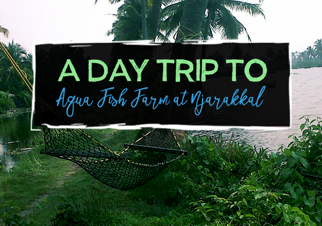 A Day Trip to Aqua Fish Farm at Njarakkal | by Paradise Holidays | Medium