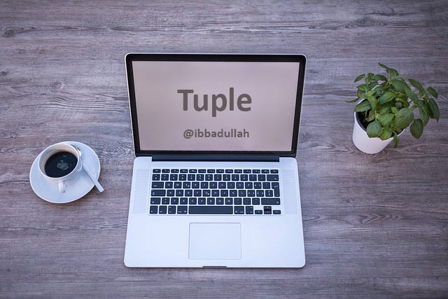 What is a Tuple in Python - Ibbad Ullah - Medium