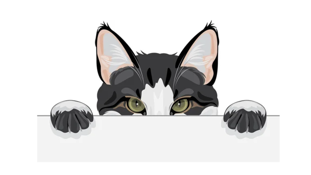 O CALOR DO GATO. Tinha um gato preto no apartamento… | by Carmenpalheta ...