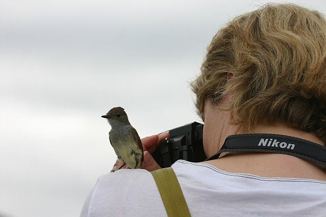 Your Wildlife Photos are Awesome. Yes, you, the one with the blurry ...
