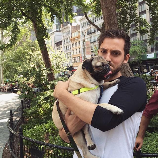 How I Met Doug The Pug: A Saga. Before I begin detailing the harrowing ...