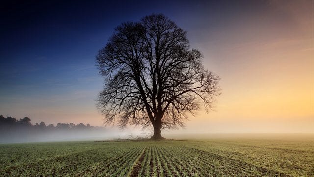 Extra Tree Classifier — Credit Risk Dataset | by Vishwas Kshirsagar ...