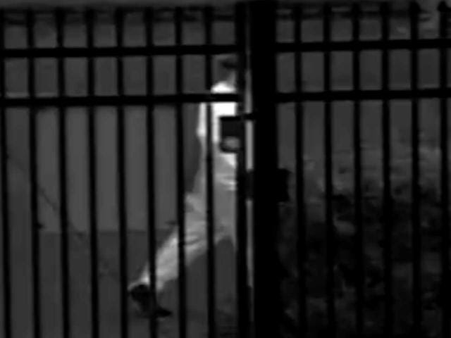 The Case of Jennifer Kesse- 17 Years of Disappearance | by The Mystique ...