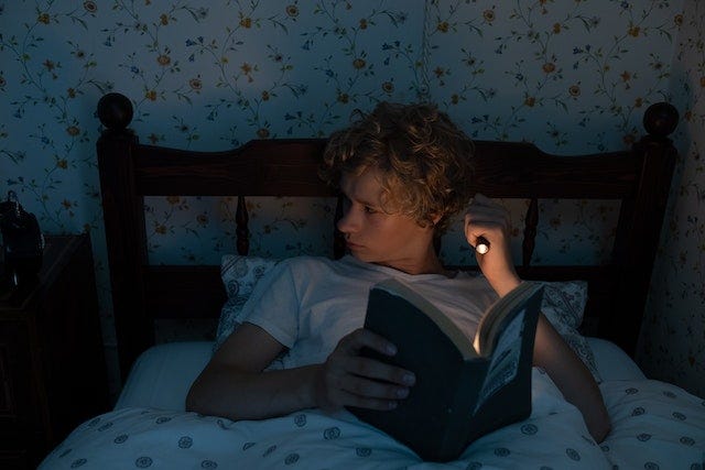 How to engage boys with reading. I’ve watched hours of Netflix. Days… | by Catherine Allen | Medium