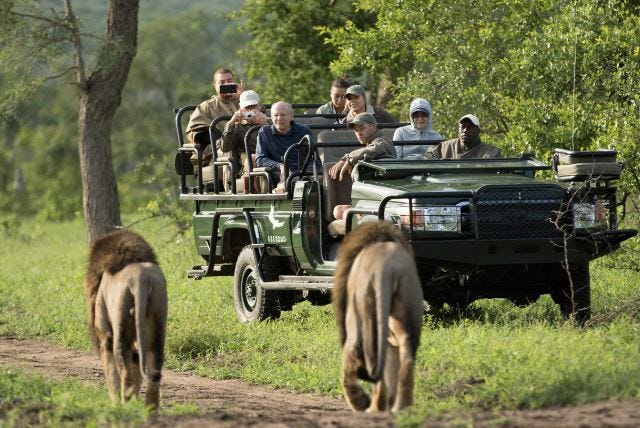 Discover Africa Safaris: Your Ultimate Guide to Exclusive and Off-the ...