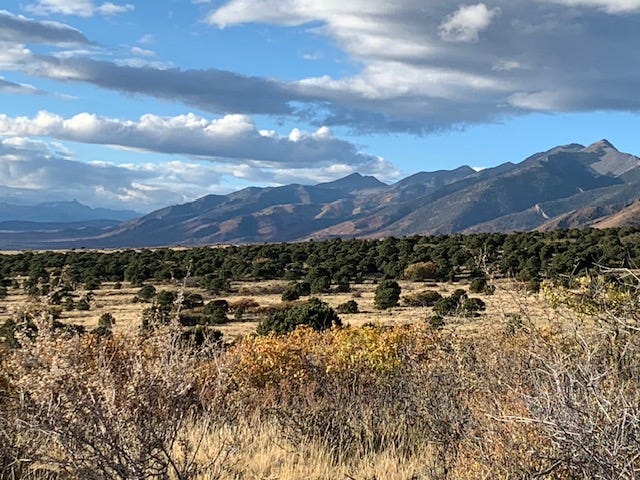 Finding Spirit in Bats, Rocks, Sand, And Hot Springs | by Sondra Singer ...