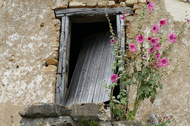 Disconnecting is Easy! Six Simple and Magical Solutions for Breaking ...