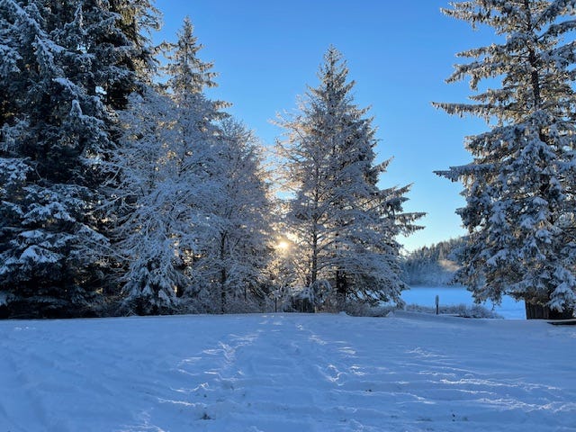 Living Alaska — When It Snows. An Ice-Skating Experience | by ...