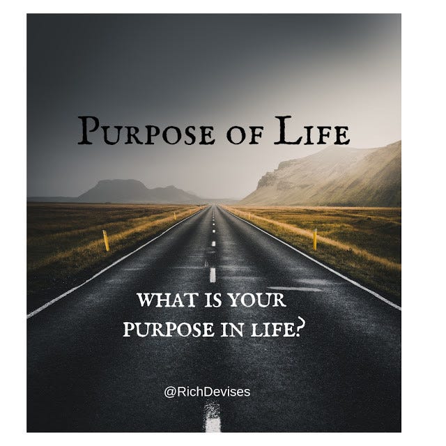 Purpose of Life. Everyone has questions like What is the… | by ...