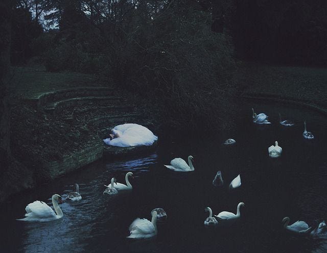 midnight monologue. 'cause if i love u at the start, then i… | by ...