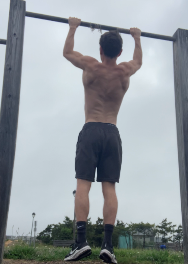The Many Benefits of Pull-Ups. From someone who did them every day for ...