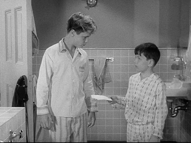 First and Last: How Leave It to Beaver Came to Represent an America ...