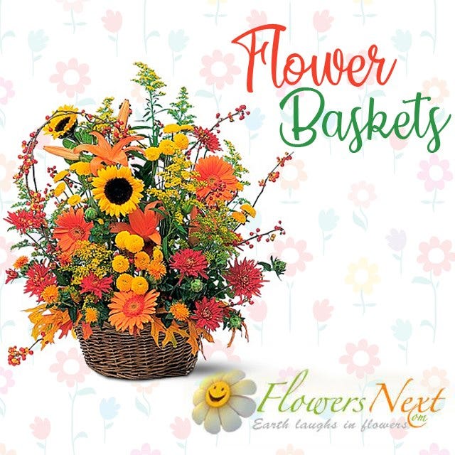 Say it with Flowers: The Language of Blooms in Pakistan | by ...