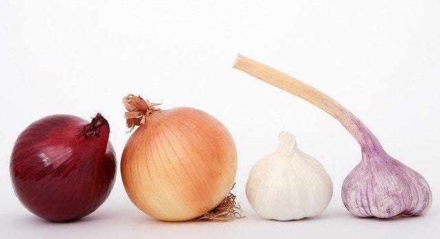 Effect Of “Gokun” Five Pungent Roots ; Use the right tools for the ...