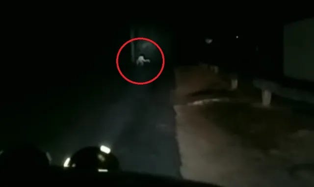 Pale Humanoid Creature Recorded In The Australian Outback | by Terry ...