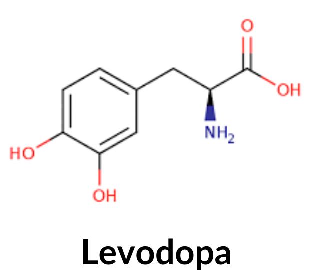 Precision Electropharmacology: Levodopa | by U: The Mind Company | Medium