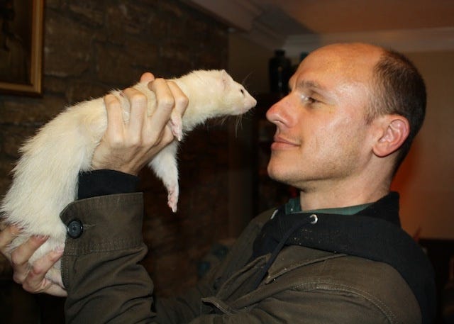Ferret Owners Are Weirdos, and I’m One of Them | by Aaron Gilbreath ...