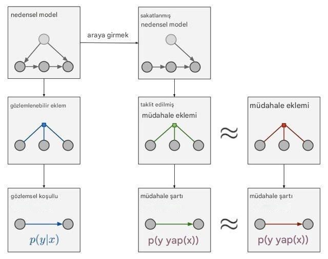 Nedensel İlişkileri Do Kalkülüs ile Nasıl Ortaya Çıkarabiliriz? by ...
