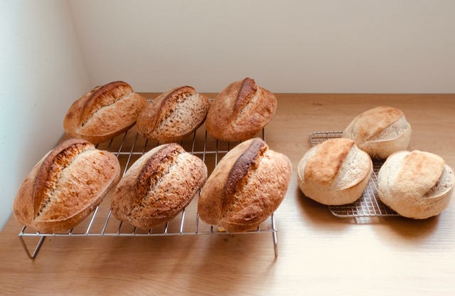 Day-Old Bread. Nothing is better than the smell of… | by Elinor Gaida ...