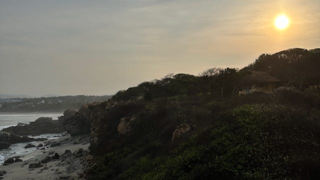 Looking Back to Walk Ahead. I suppose the only times I actually… | by Jason Credo | Medium