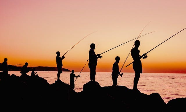 Fishing 101: The Ultimate Beginner’s Guide to Freshwater Fishing ...