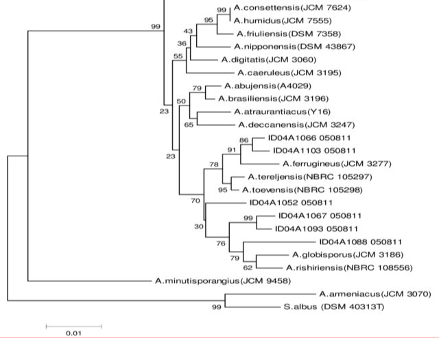 Clustering Agglomerative Process Towards Data Science