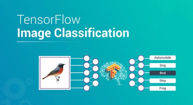 How to do Image Classification on custom Dataset using TensorFlow | by ...