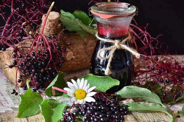 Elixir of Love Elderberry Poem. "Romancing the Benefits of… | by ...