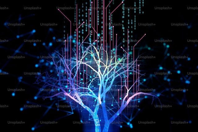 An overview of the foundations of common tree data structures and algorithms | by Rodrigo Campos ...