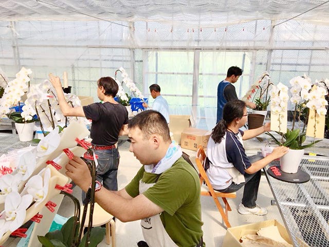 5 social businesses in Japan changing the way we “do good” | by Robin ...