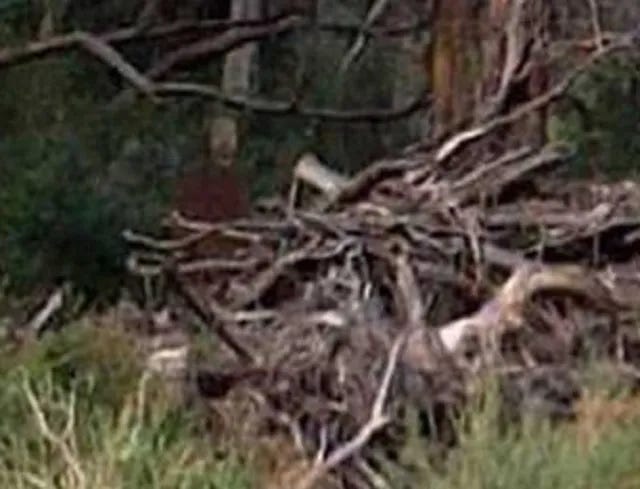 Paranormal Happenings Down Under. An intriguing photograph has ...