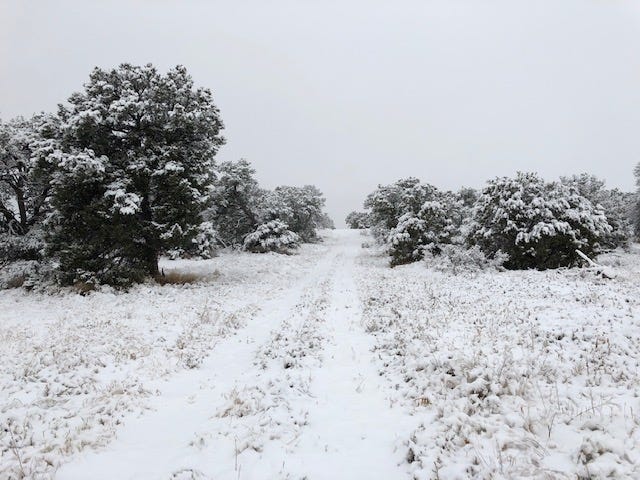 Snowy Road. A mile walk through the snow in New… | by Lisa Spray ...