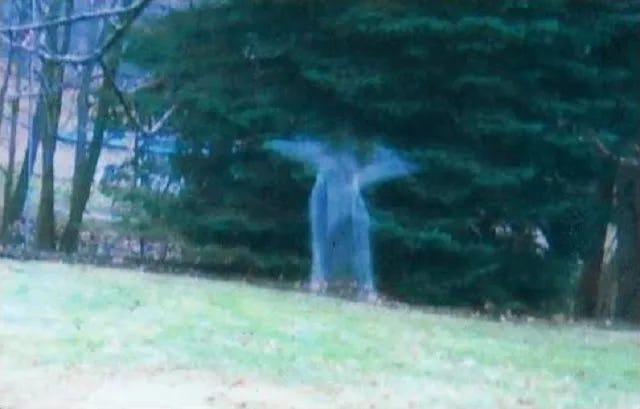 Hunting Camera Captures Angelic Spirit In Michigan | by Terry Larch ...