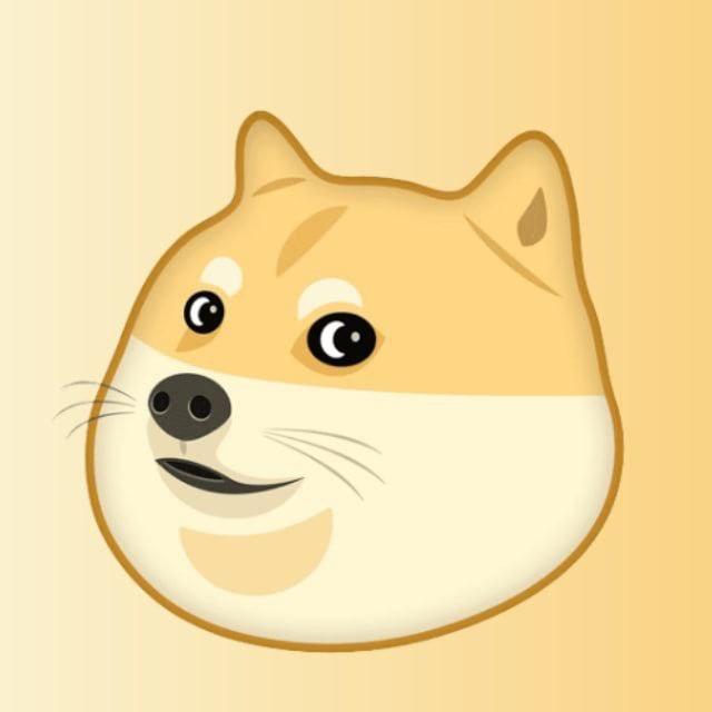 Welcome to Fat Doge. Hello and welcome to the Fat… | by Fat Doge | Medium