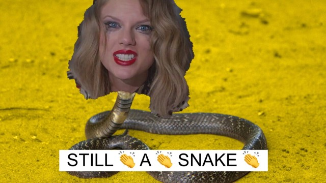 Snake Skin. When you🐍 delude yourself into… | by taylorsnake | Medium