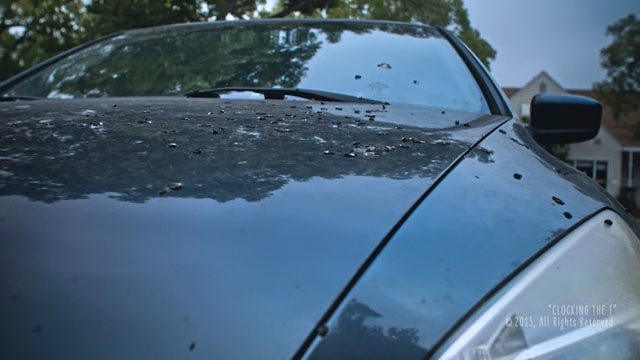 Tabernac. An ongoing series about the pain… | by Michael Thibault | Medium