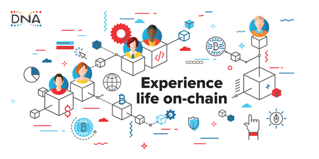 DNA — The Dualchain Network Architecture | by zagatype | Medium