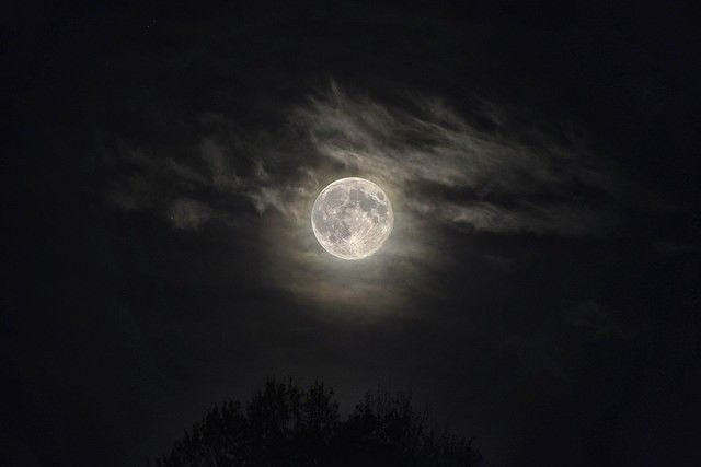 the art of being a selenophile. "I am ruled by the moon.” | by ...