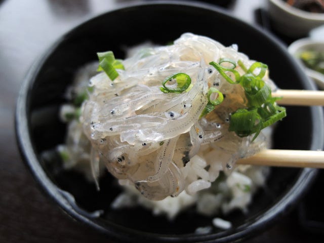 When in season, we Japanese people visit fishing towns to eat Shirasu ...