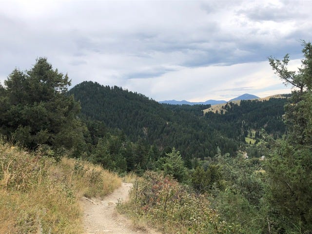 My First-Ever Hike. Hiking the College ‘M’ Trail in Bozeman | by Matt ...