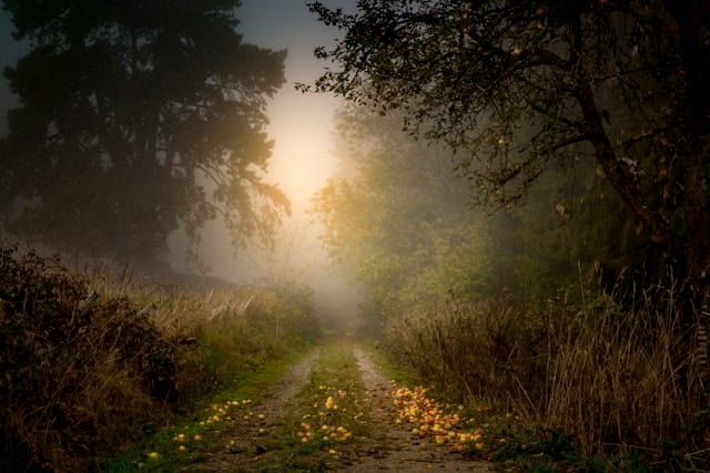 An Epic Tale of Witches, the Far Future, and Legend | by Janet Stilson ...