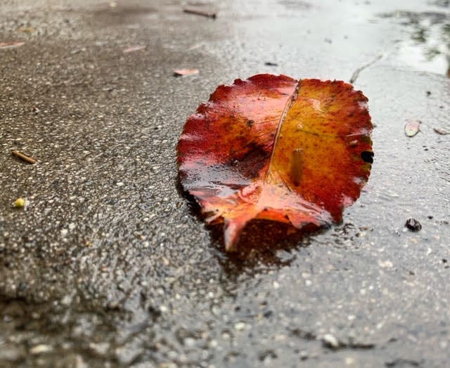Life. Life. | by Jack Piatt | Medium