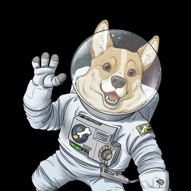 $SCORGI Fundamentals.. $SCORGI is NOT your regular memecoin… | by Tommy ...