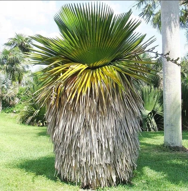 How Docker Multi-Stage Builds Transform Fat to Production Ready Images ...