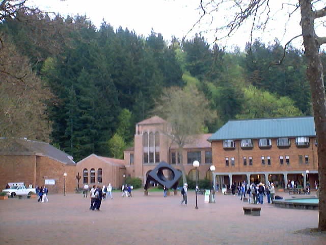 An Open Area For All. What makes a good central area for… | by ...