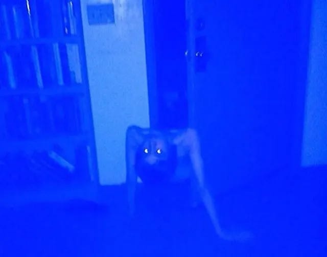 Possessed Boy Crawls From Closet. A rather bizarre looking photograph ...
